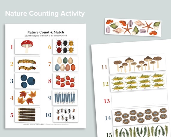 1-20 Nature Counting Activity Preschool Nature Busy Book - Etsy