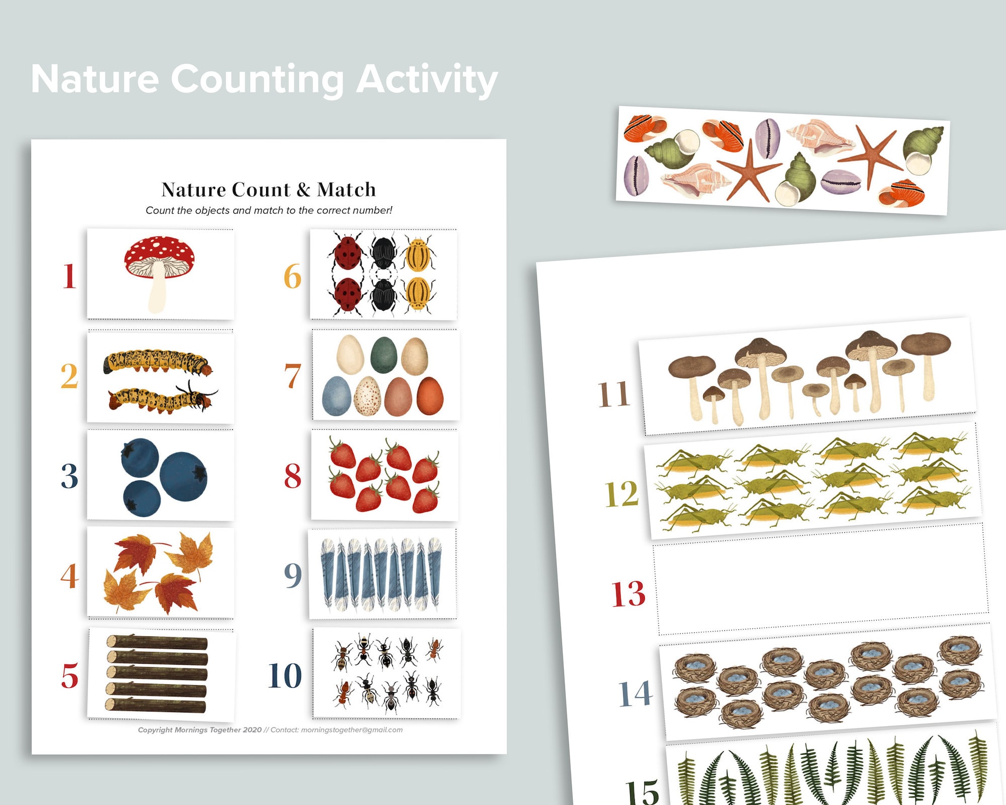 1-20 Nature Counting Activity Preschool Nature Busy Book - Etsy