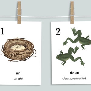 French Nature Counting Cards Printable | Nursery Wall Art | Preschool ...