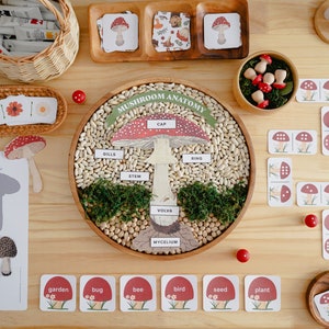 Mushroom Activity Pack Bundle | Homeschool Printables | Coloring Poster ...