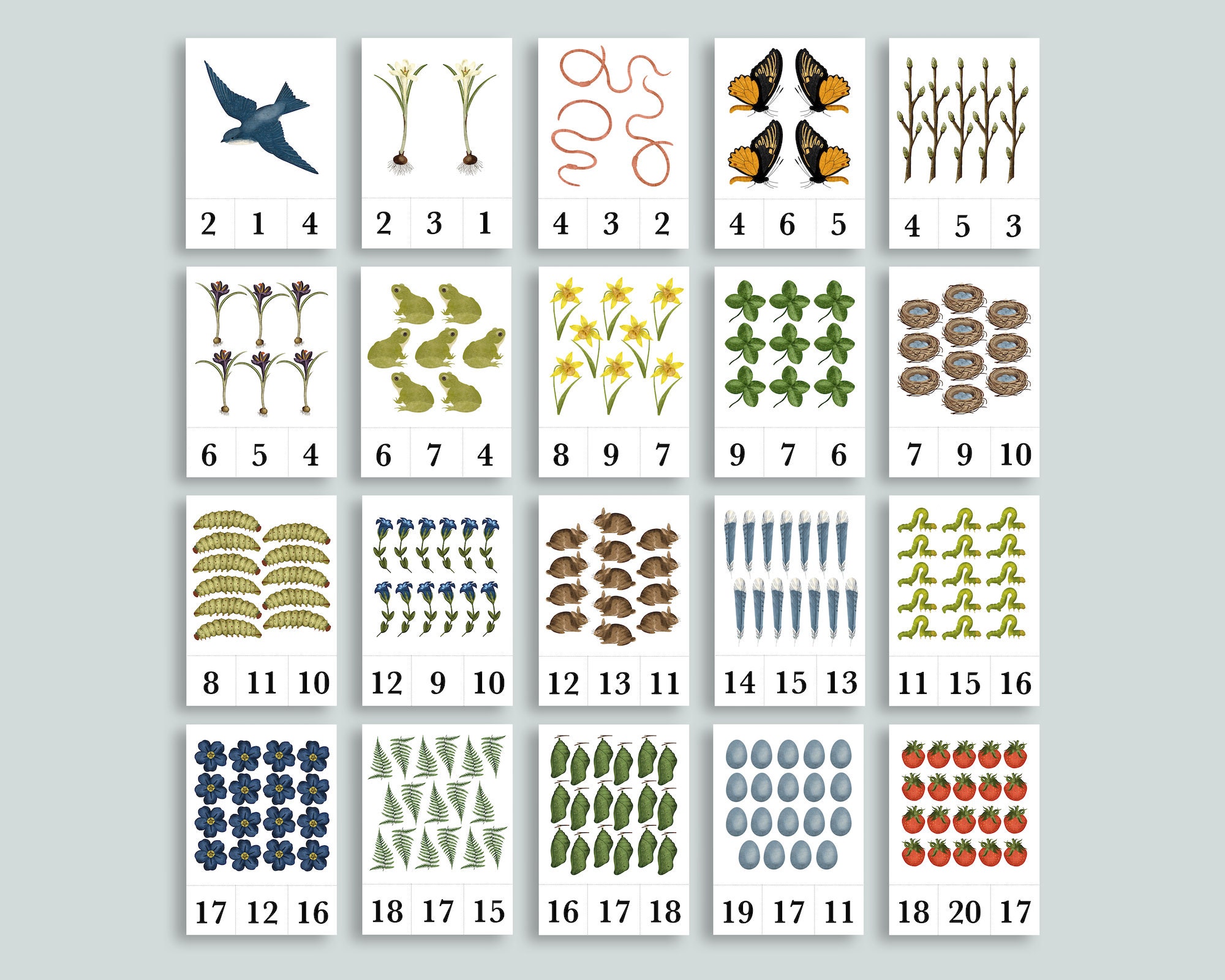 Spring Count and Clip 1-20 Number Cards Spring Homeschool | Etsy