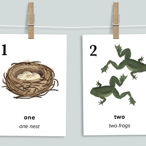 Nature Number Cards | Charlotte Mason Homeschool Printables Spring ...
