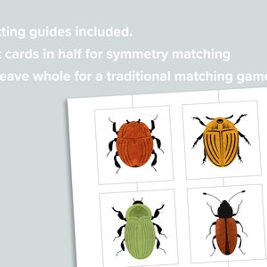 Beetles Matching Activity | Nature Beetles Bugs Preschool Homeschool ...