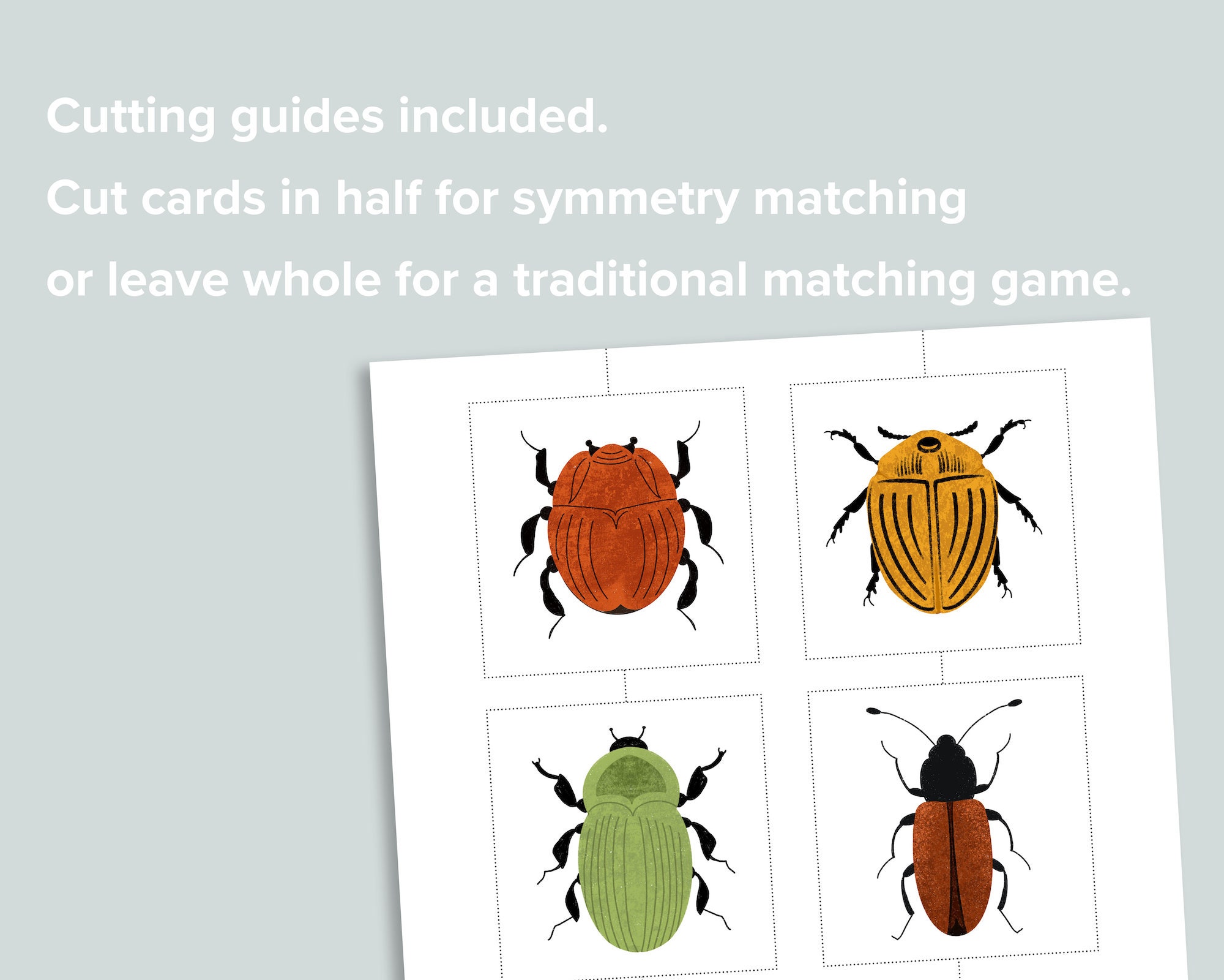 Beetles Matching Activity Nature Beetles Bugs Preschool - Etsy