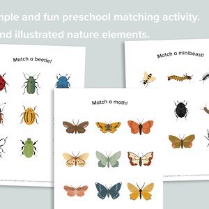 Minibeast Matching Activity | Nature Beetles Moth Preschool Homeschool ...