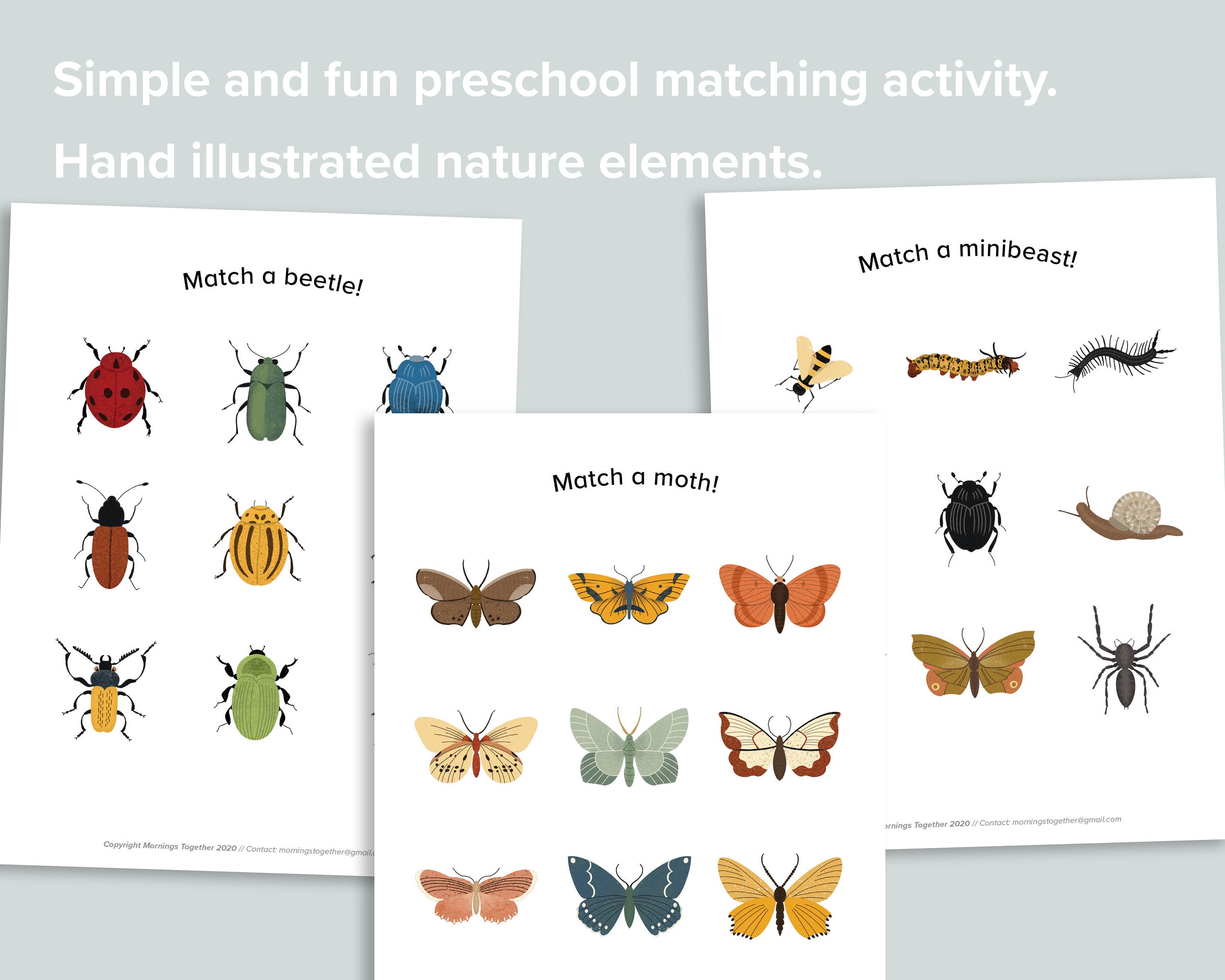 Minibeast Matching Activity | Nature Beetles Moth Preschool Homeschool ...