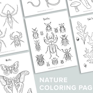Nature Coloring 25 Page Bundle Homeschool Printables Black | Etsy