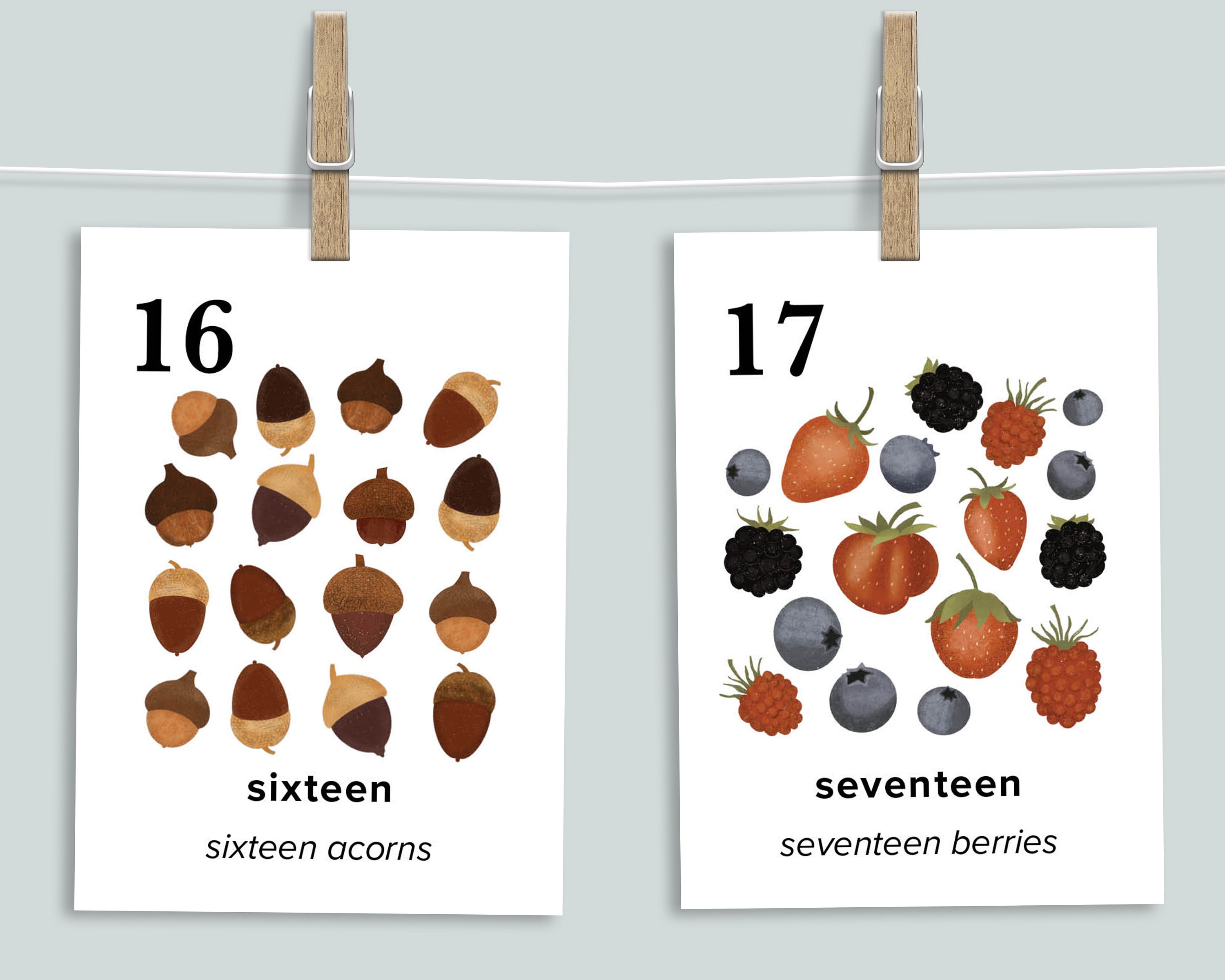 Nature Number Cards 1-20 Charlotte Mason Pre K Homeschool - Etsy Canada