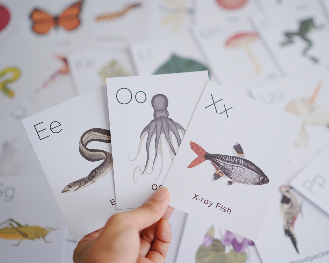 Nature ABC Cards Printable Homeschool Printables Preschool - Etsy