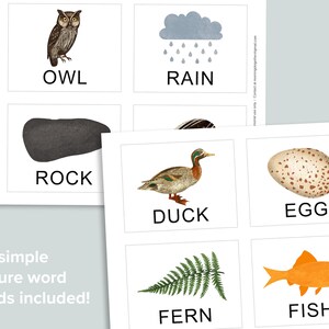 Nature Spelling Cards | Simple Words | Easy Early Reading Activity ...