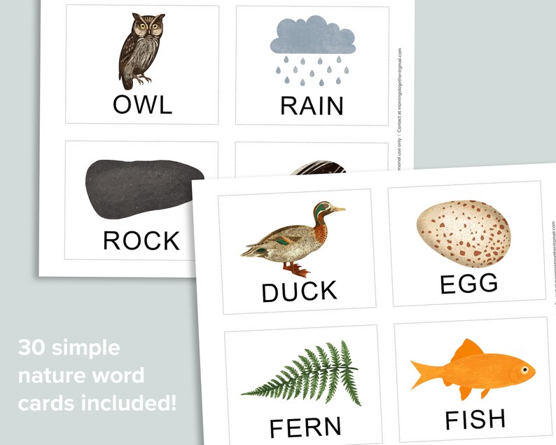 Nature Spelling Cards Simple Words Easy Early Reading - Etsy