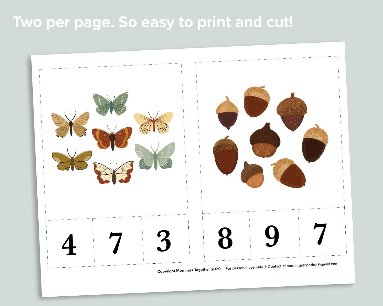 Nature Count and Clip Number Cards 1-10 Charlotte Mason | Etsy