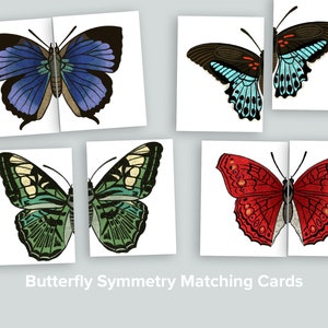 Butterfly Activity Pack BUNDLE | Nature Homeschool Printables ...