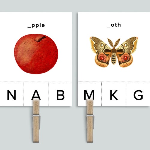 Beginning Sounds Clip Cards Nature ABC Printable Phonics - Etsy