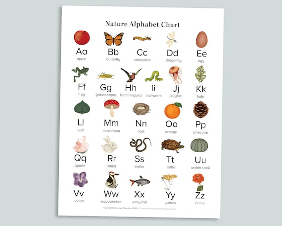 Nature ABC Chart Printable Page Homeschool Printables - Etsy