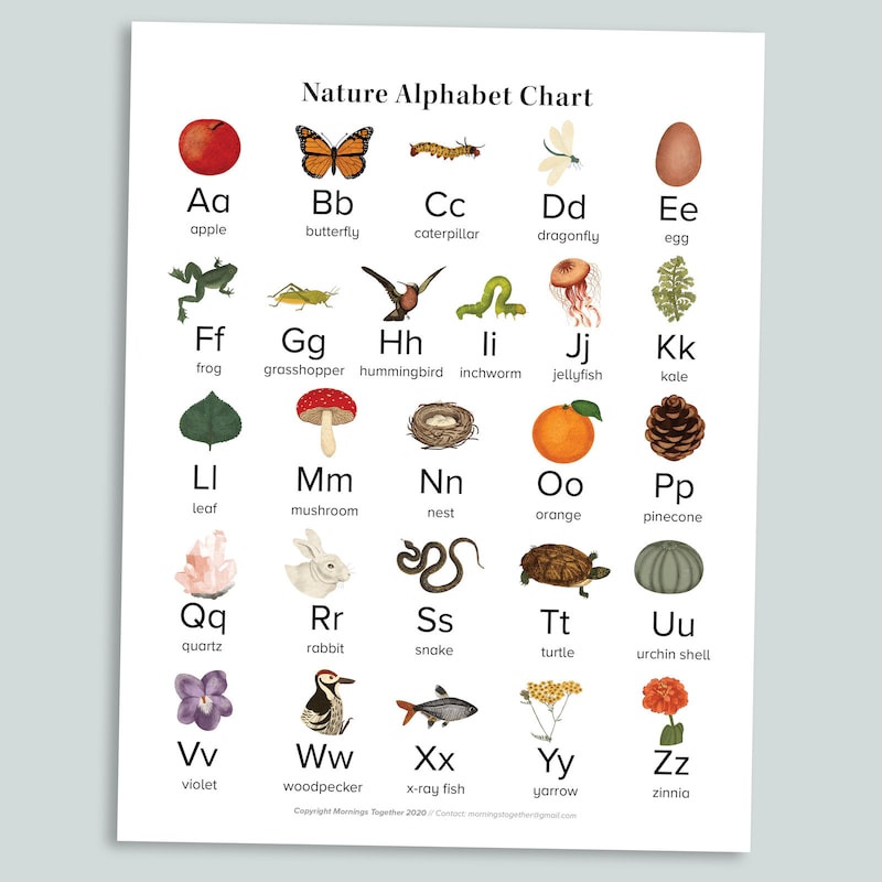 Alphabet Chart Real - Etsy