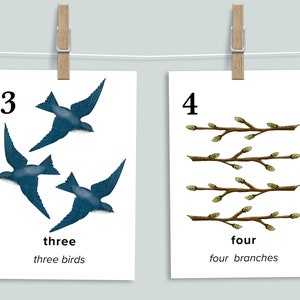 Spring Nature Number Cards Printable | Homeschool Printables | Holiday ...