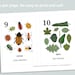 Nature Number Cards Charlotte Mason Homeschool Printables Spring ...