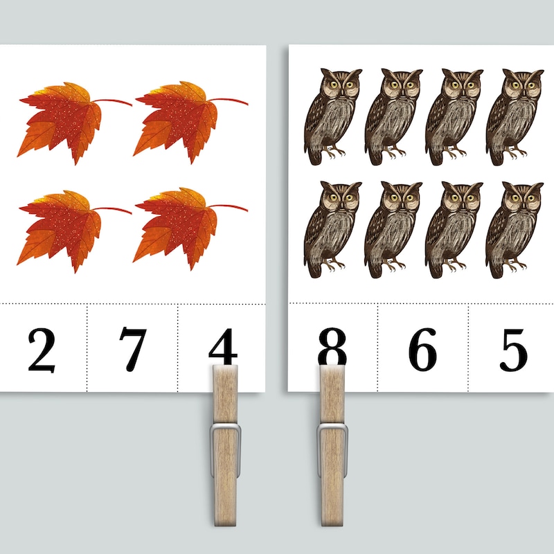 Count and Clip Cards - Etsy