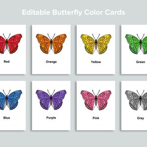 Butterfly Activity Pack BUNDLE | Nature Homeschool Printables ...