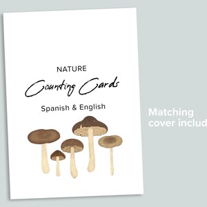 Spanish & English Nature Number Cards 1-20 Bilingual Printable ...