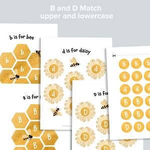 Honeybee Activity Pack BUNDLE | Nature Flashcards | Homeschool ...