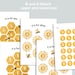Honeybee Activity Pack BUNDLE Nature Flashcards Homeschool Printables ...