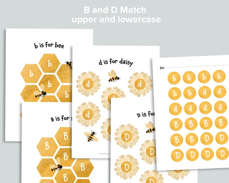 Honeybee Activity Pack BUNDLE | Nature Flashcards | Homeschool ...