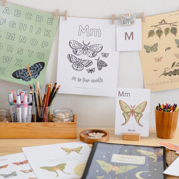 Preschool Curriculum - Etsy