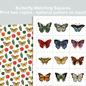 Butterfly Activity Pack BUNDLE | Nature Homeschool Printables ...