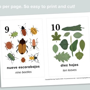 Spanish & English Nature Number Cards 1-20 Bilingual Printable ...