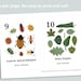Spanish & English Nature Number Cards 1-20 Bilingual (Download Now) - Etsy