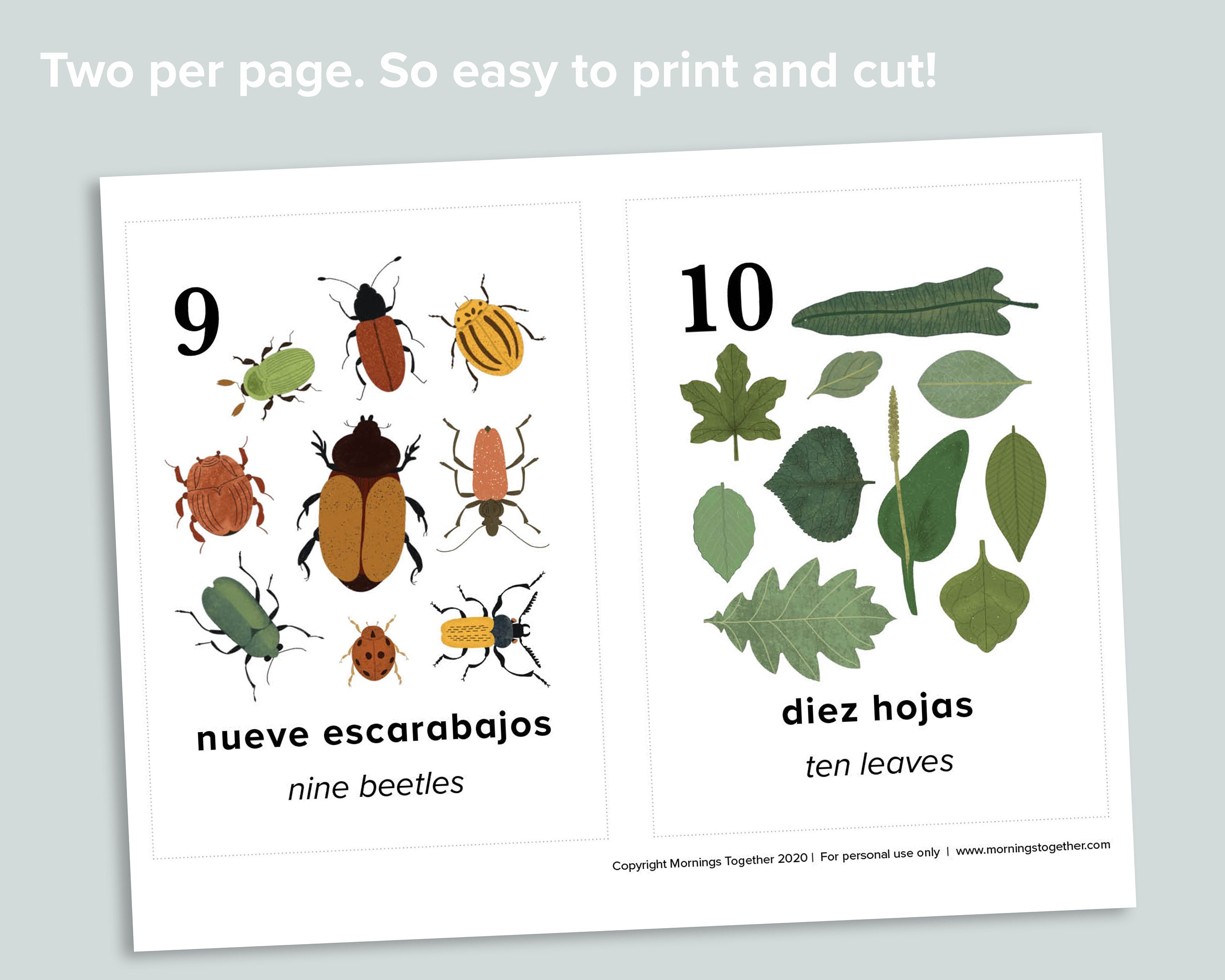 Spanish & English Nature Number Cards 1-20 Bilingual Printable | Etsy