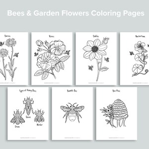 Nature Coloring 25 Page Bundle Homeschool Printables Black and White ...