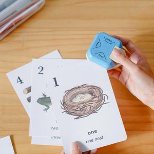 Nature Number Cards 1-20 | Charlotte Mason Pre K | Homeschool ...