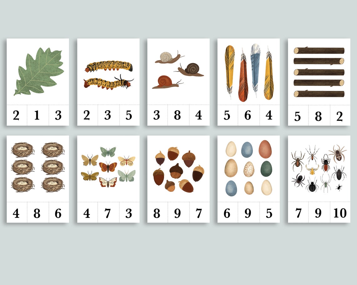 Nature Count and Clip Number Cards 1-10 Charlotte Mason | Etsy