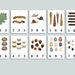 Nature Count and Clip Number Cards 1-10 | Charlotte Mason Homeschool ...