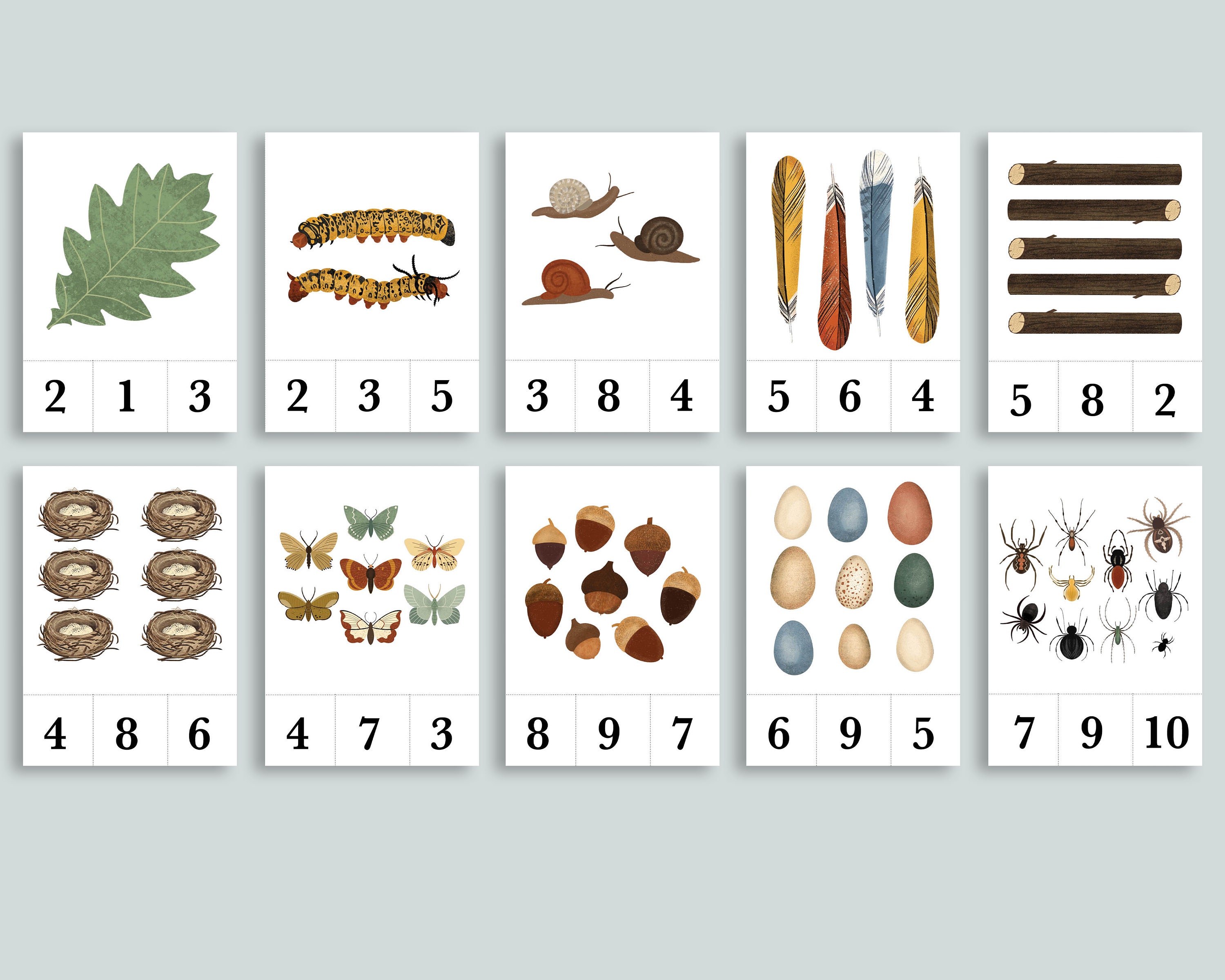 Nature Count and Clip Number Cards 1-10 Charlotte Mason | Etsy