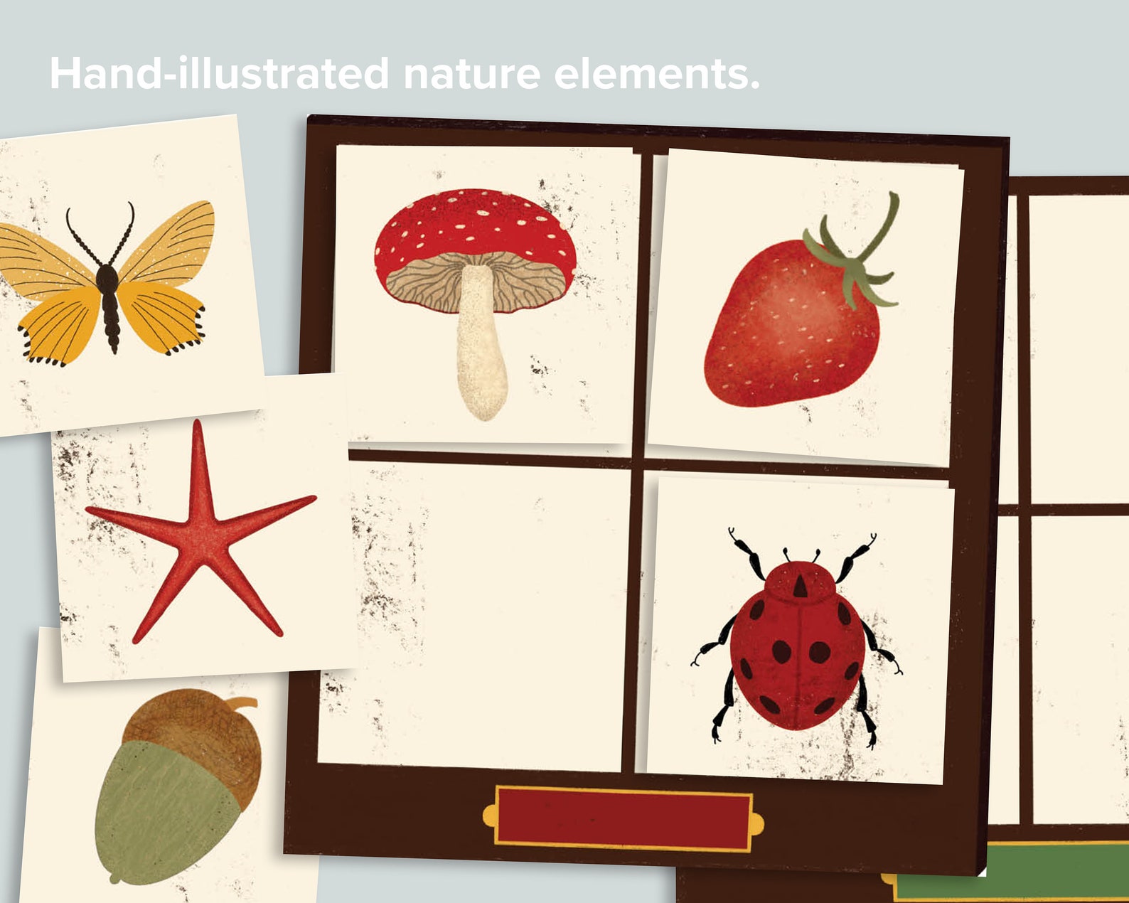 Preschool Nature Color Match Activity Charlotte Mason - Etsy