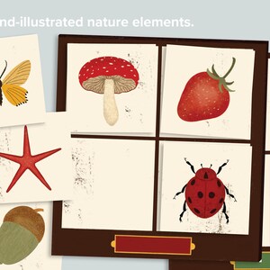 Preschool Nature Color Match Activity | Charlotte Mason Homeschool ...