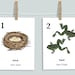 Nature Number Cards 1-20 Charlotte Mason Pre K Homeschool Printables ...