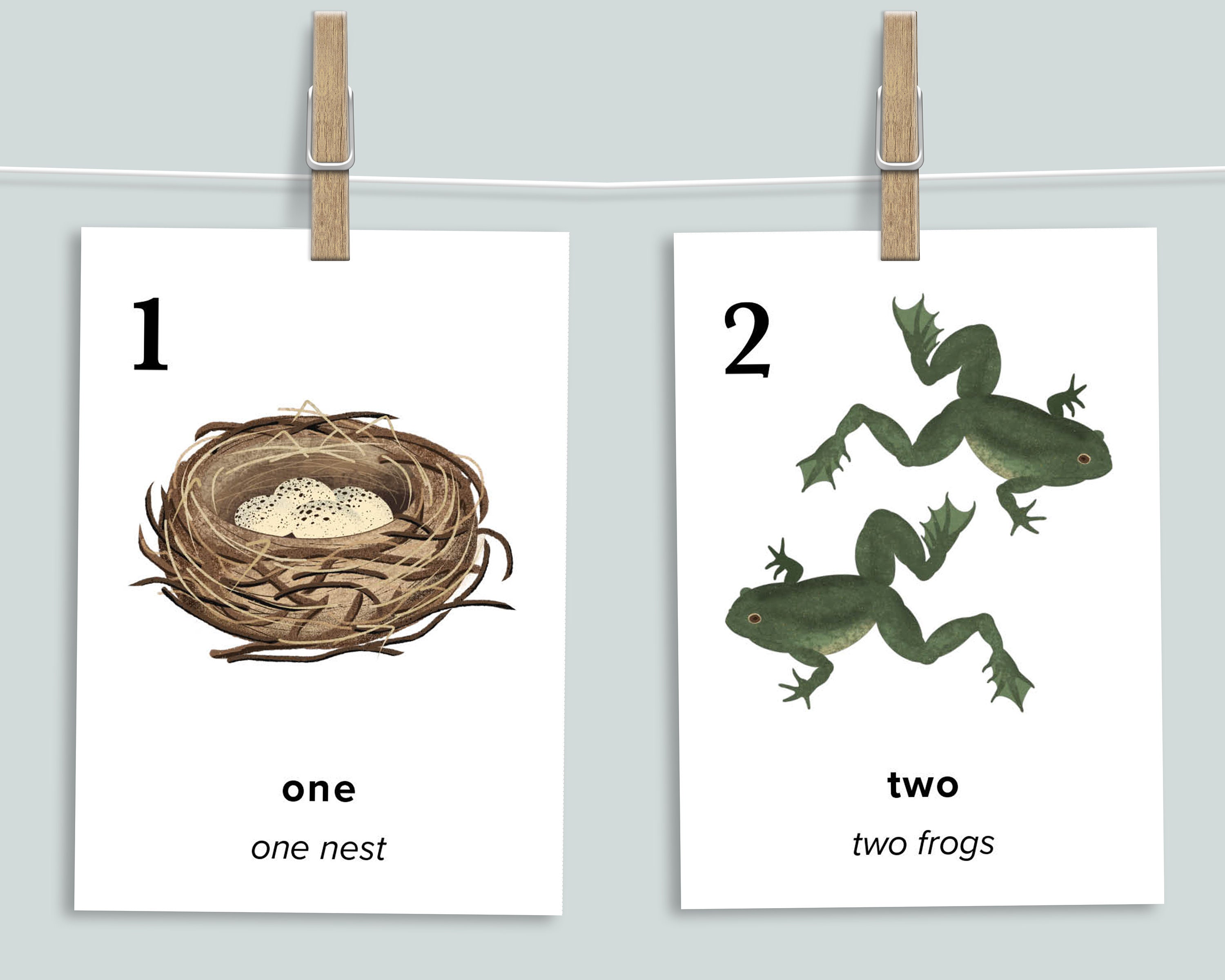 Nature Number Cards 1-20 Charlotte Mason Pre K Homeschool - Etsy