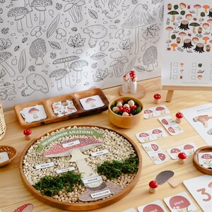Mushroom Activity Pack Bundle | Homeschool Printables | Coloring Poster ...
