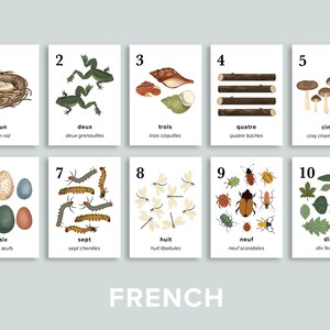 BUNDLE French Preschool Bilingual Homeschool Printable | Color Nature ...