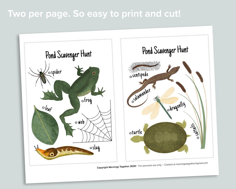 Pond Scavenger Hunt Printable | Charlotte Mason Homeschool Printables ...