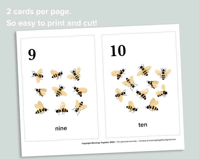 Bee Number Cards 1-20 Charlotte Mason Nature Flashcards | Etsy