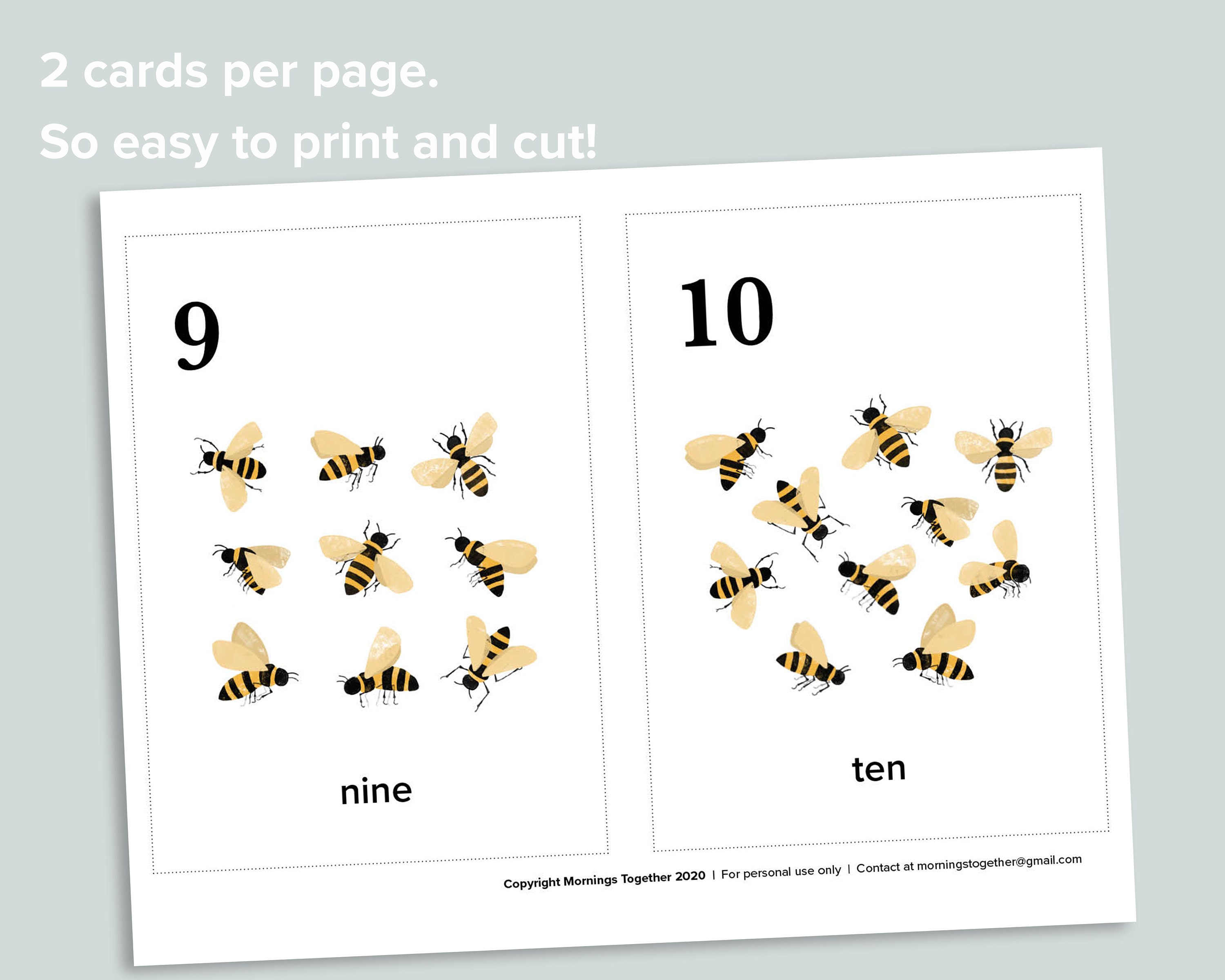 Bee Number Cards 1-20 Charlotte Mason Nature Flashcards | Etsy