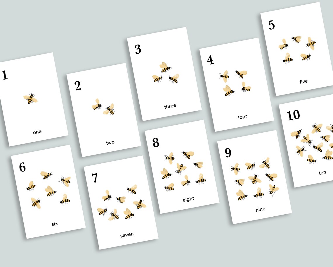 Bee Number Cards 1-20 Charlotte Mason Nature Flashcards | Etsy