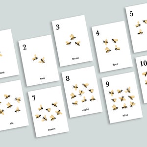 Bee Number Cards 1-20 | Charlotte Mason Nature Flashcards | Homeschool ...