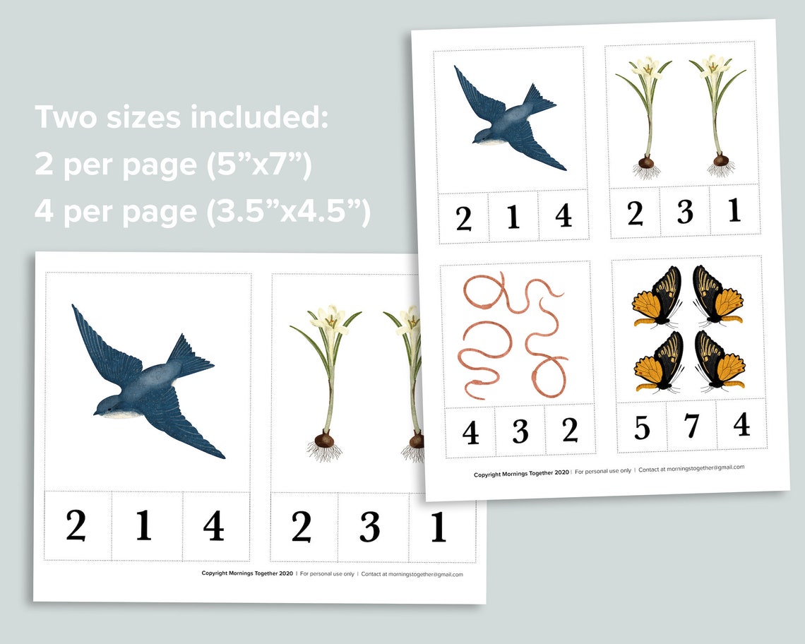 Spring Count and Clip 1-20 Number Cards Spring Homeschool | Etsy